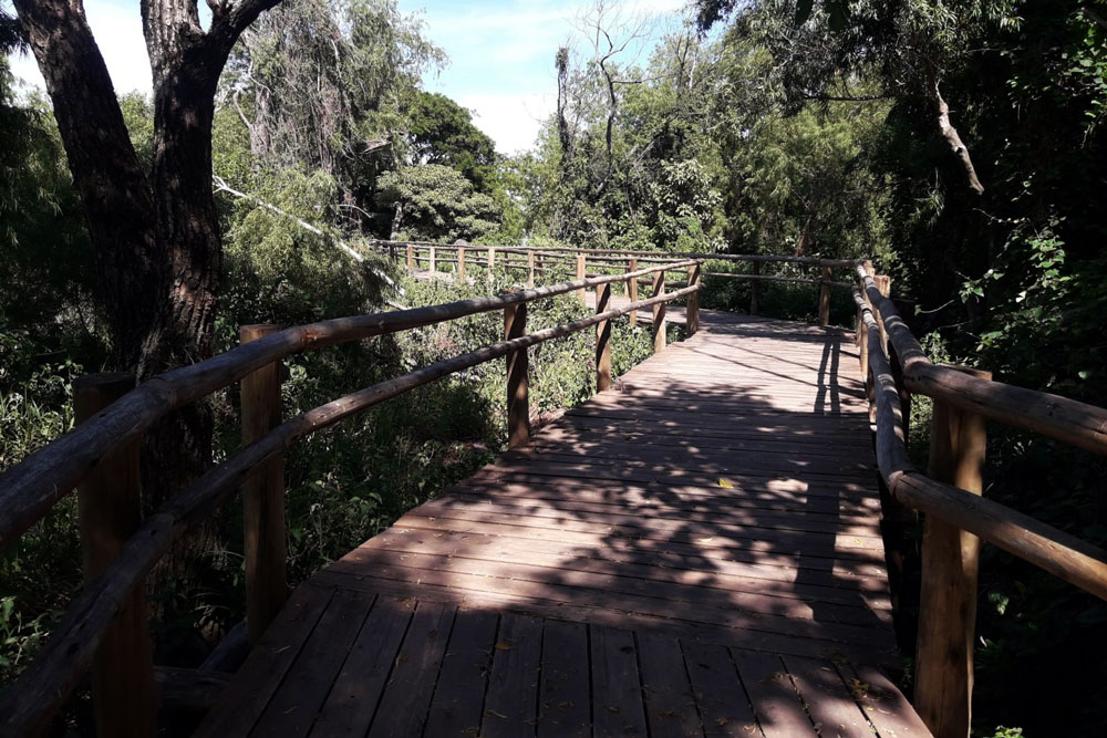 Excursión al Curupí – Revista 170 Escalones